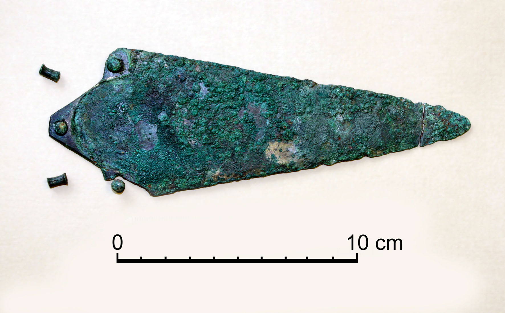 Bronze Age skeleton, dagger-clutching Racton Man could have been a king ...