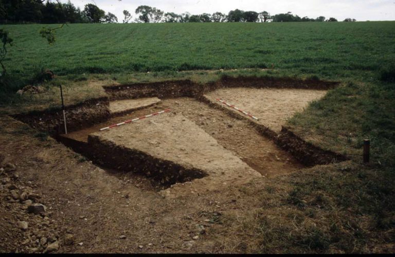 Bronze Age skeleton, dagger-clutching Racton Man could have been a king ...