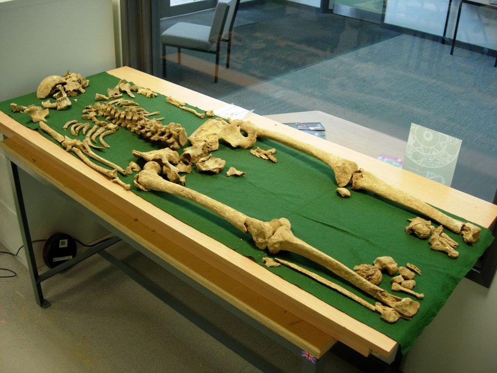 Bronze Age skeleton, dagger-clutching Racton Man could have been a king ...