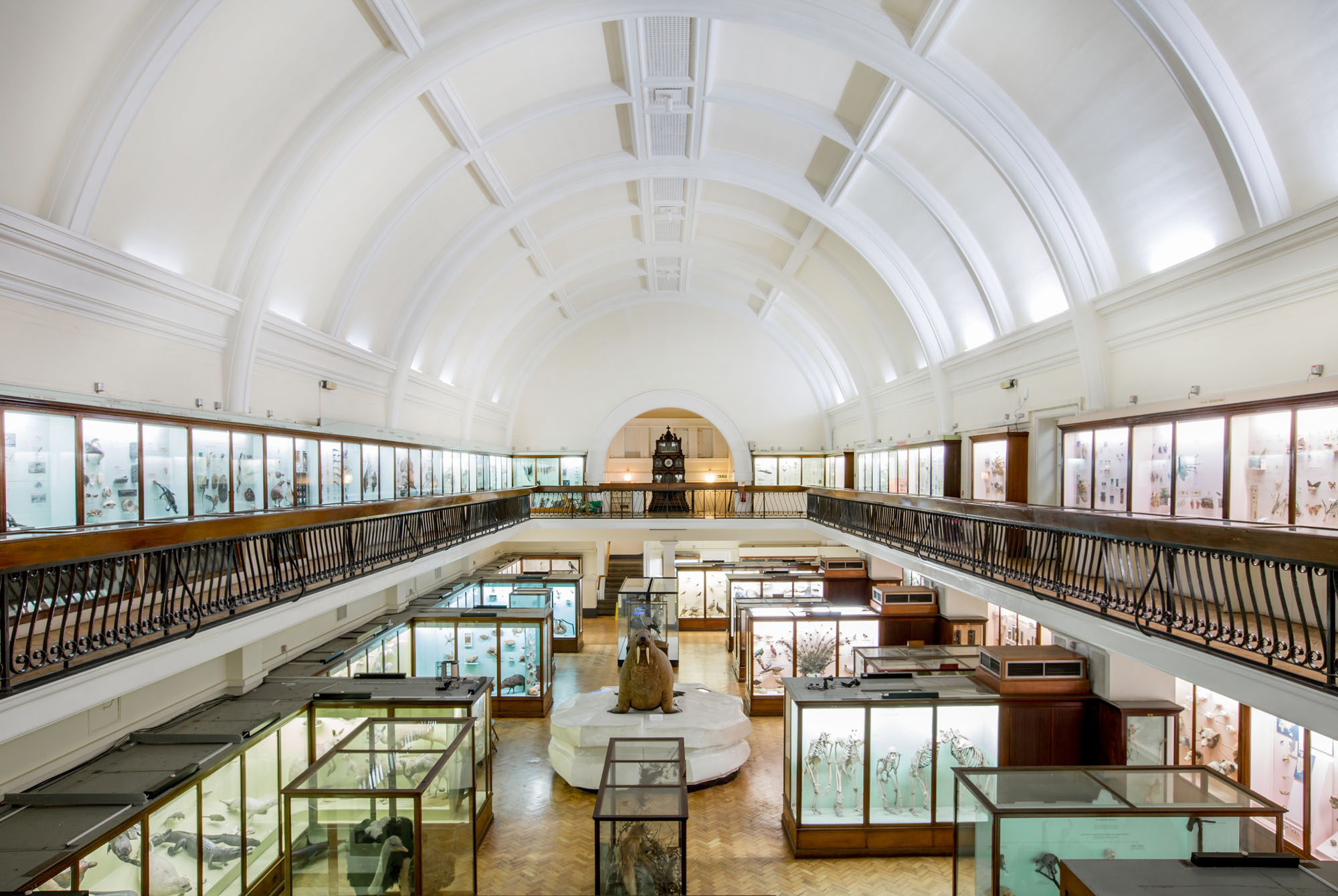 Britain’s best places to see: Taxidermy and natural history collections ...