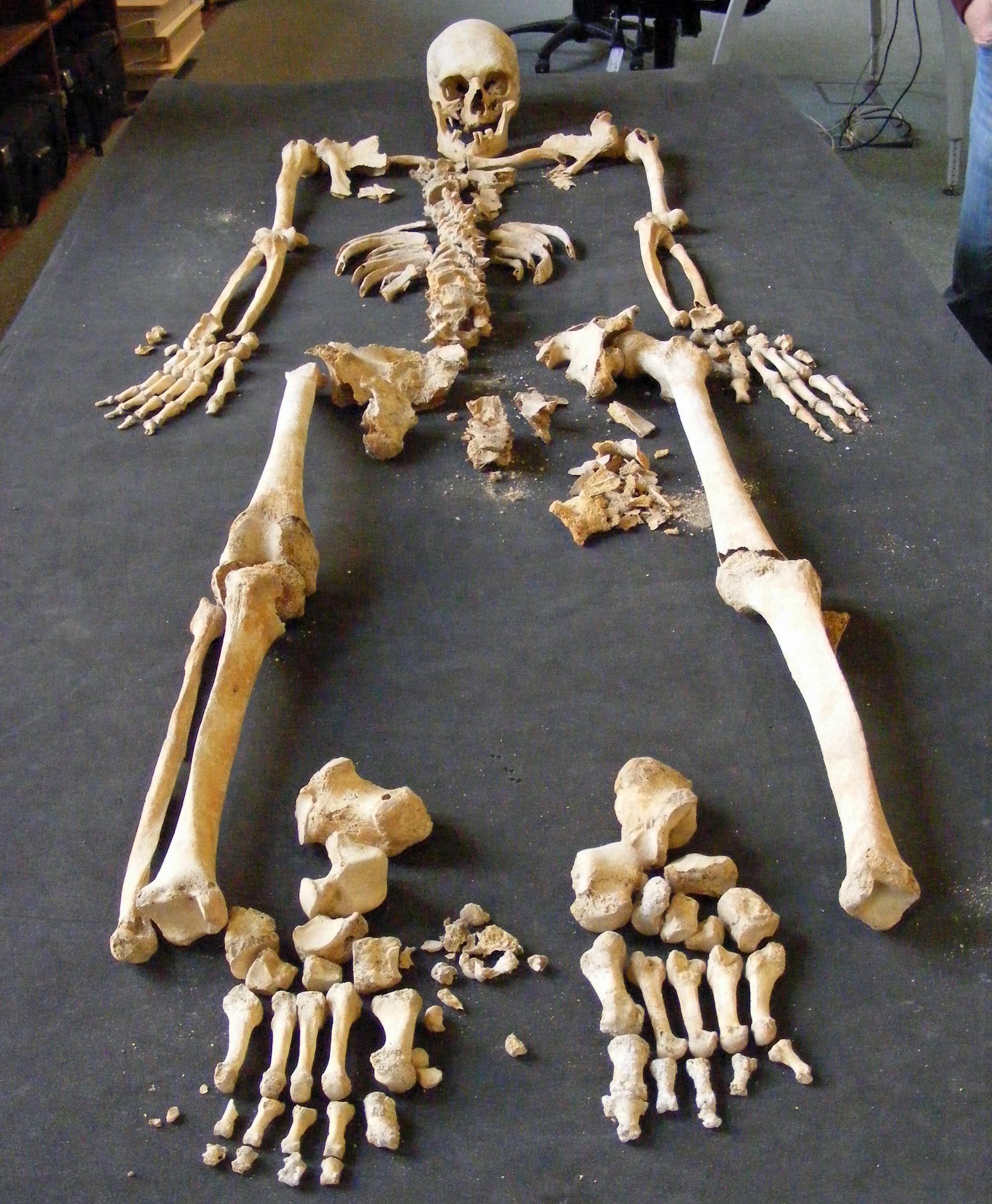 We take an ancient skeleton from a museum store room and put it ...