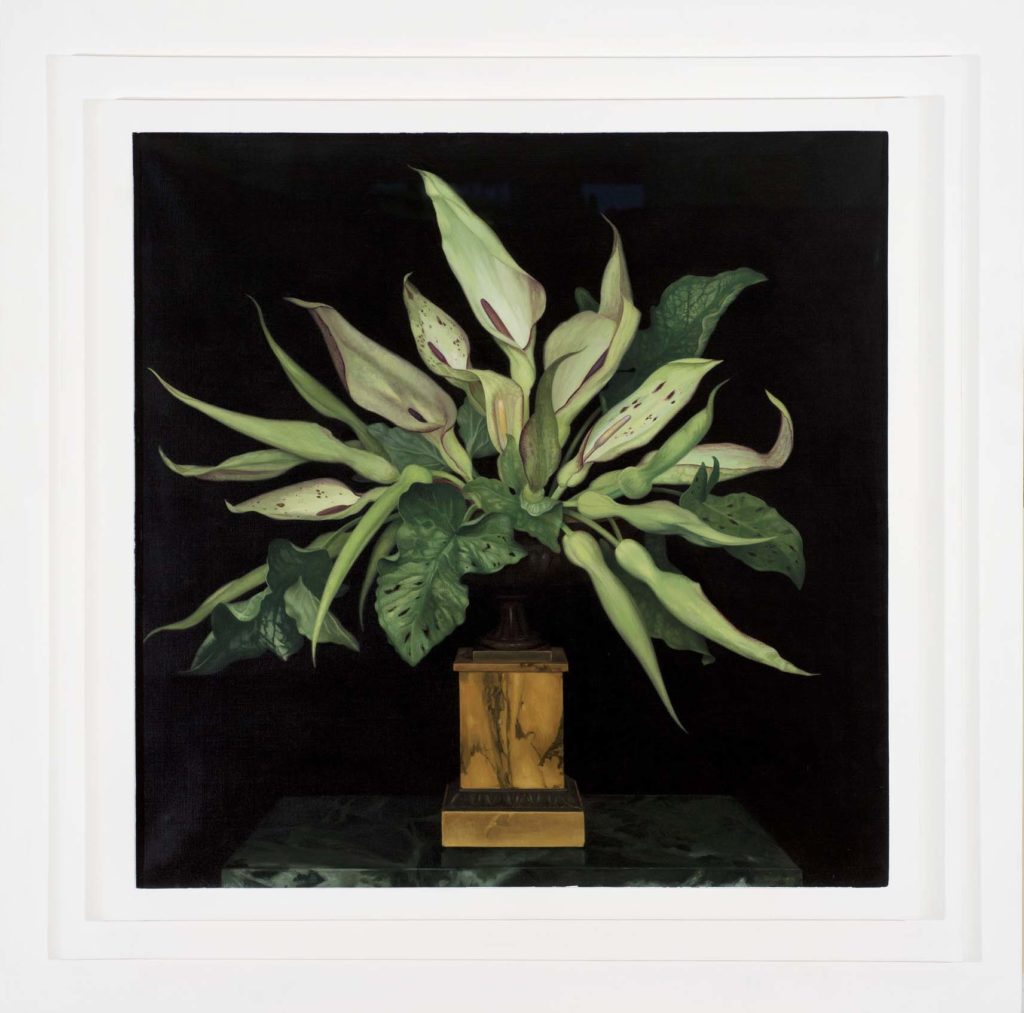 The enigma of Gluck: Discovering the artist behind the lesbian icon ...