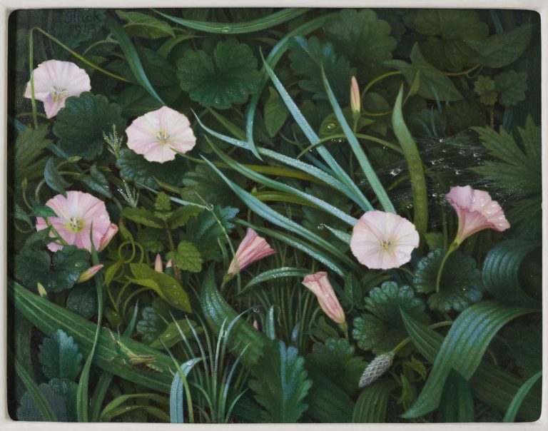 The enigma of Gluck: Discovering the artist behind the lesbian icon ...