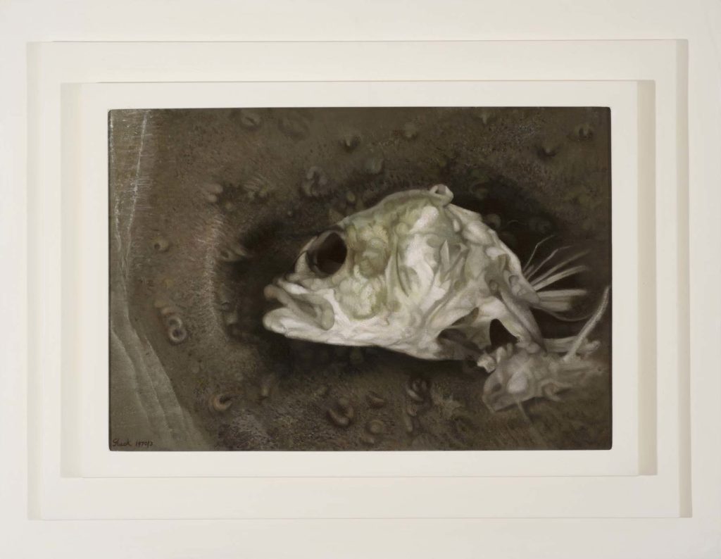 The enigma of Gluck: Discovering the artist behind the lesbian icon ...