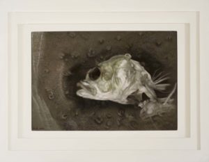 The enigma of Gluck: Discovering the artist behind the lesbian icon ...