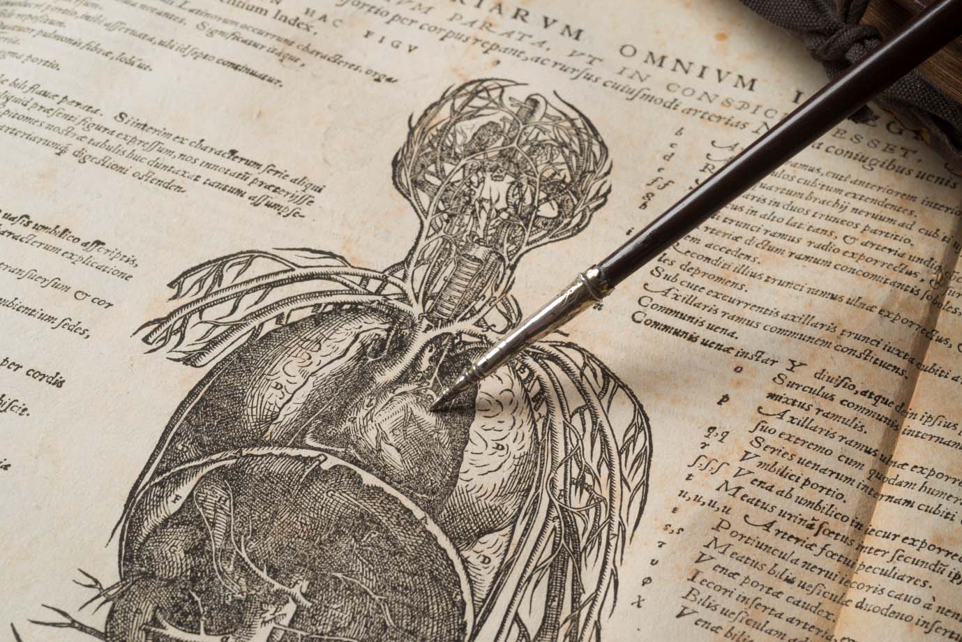 The man who put the heart at the centre of human life: Celebrating ...