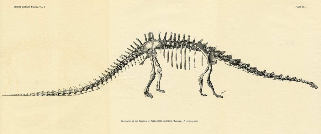 Our favourite diplodocus hits the road: The Cult of Dippy the Dinosaur ...