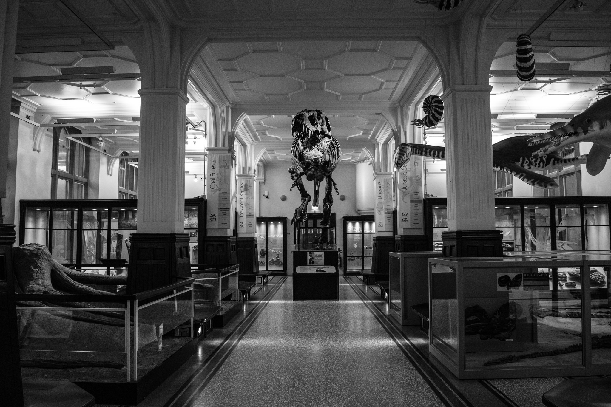 Britain’s best places to see: Dinosaurs and fossils – Museum Crush