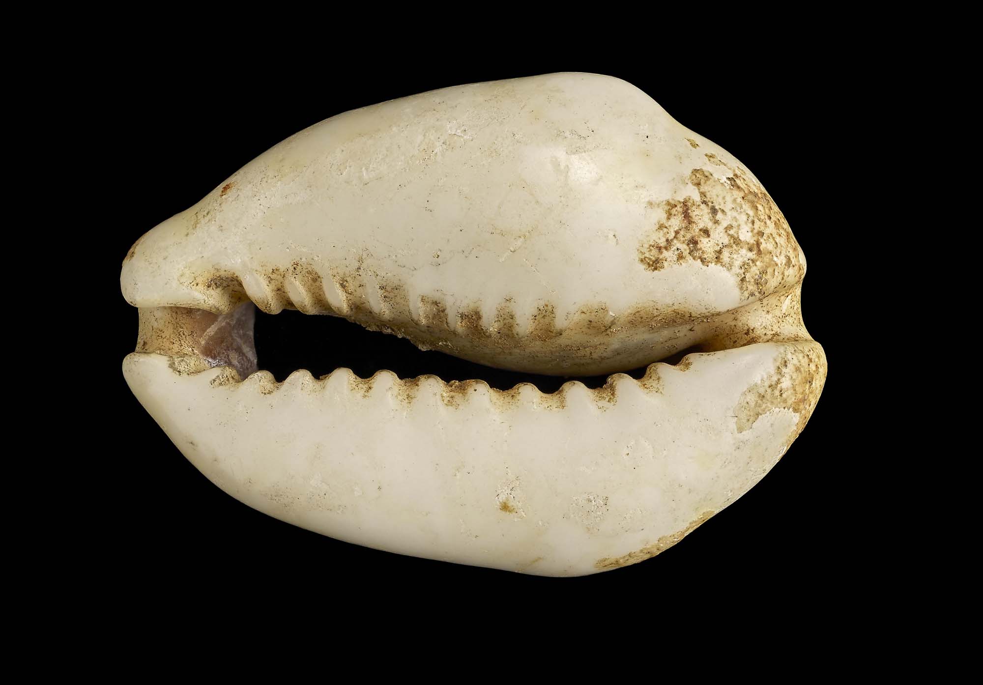 The British Museum celebrates coins, medals and all things numismatics ...