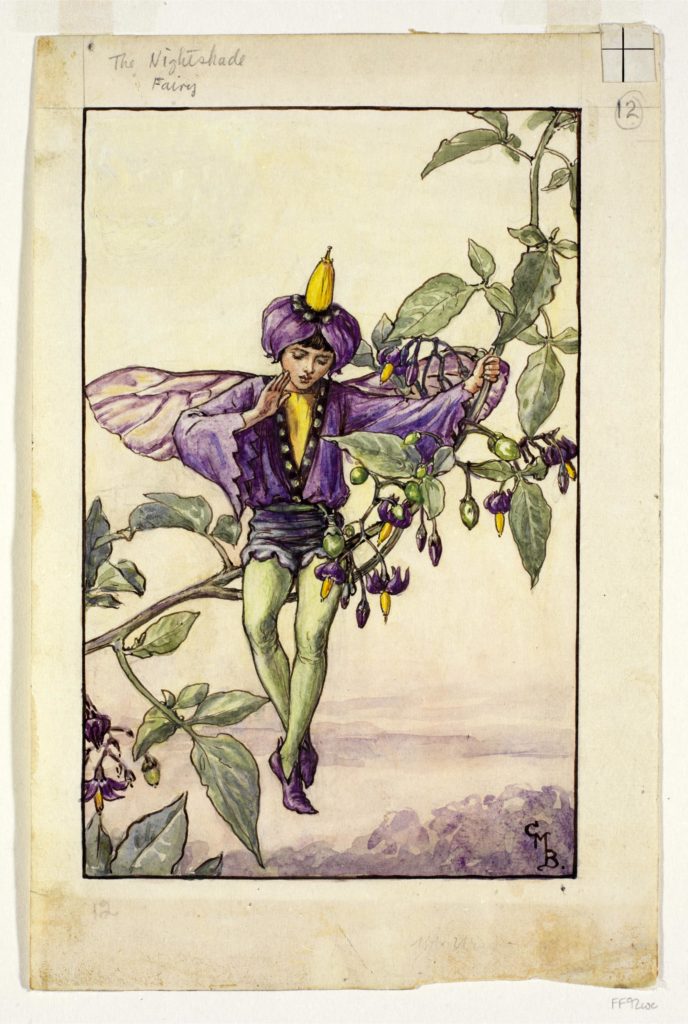 The enduring appeal of the Flower Fairies – Museum Crush