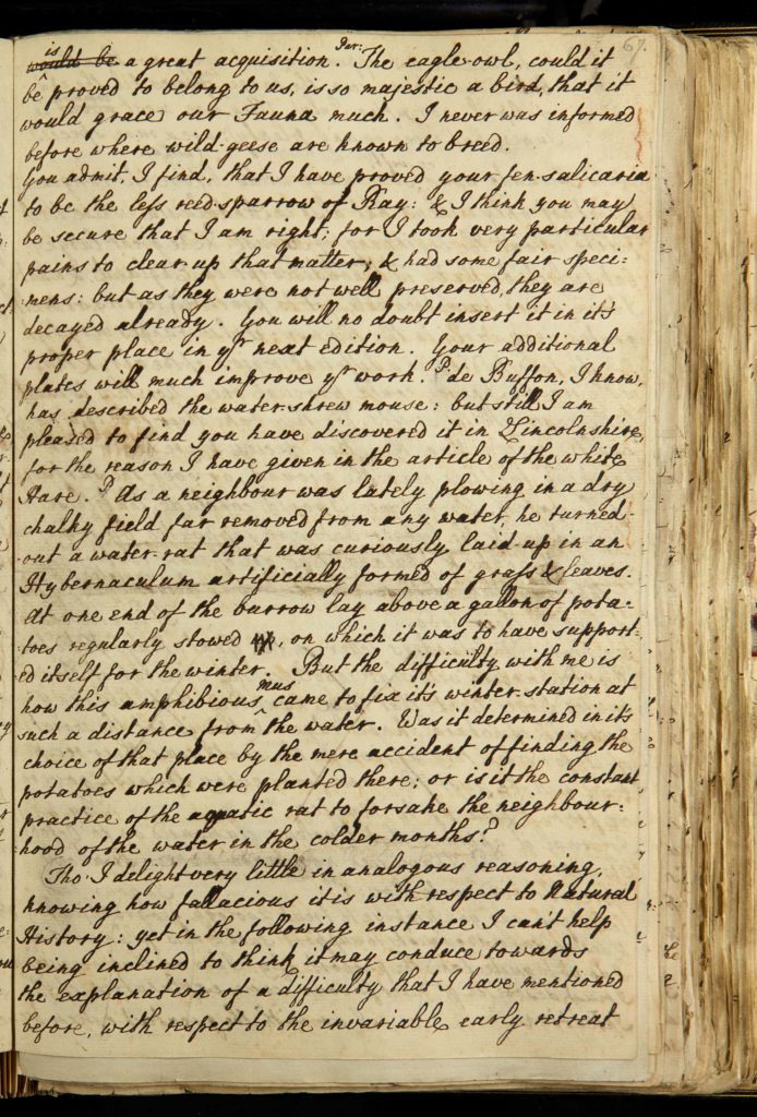 Explore the original magic of Gilbert White’s Natural History of ...