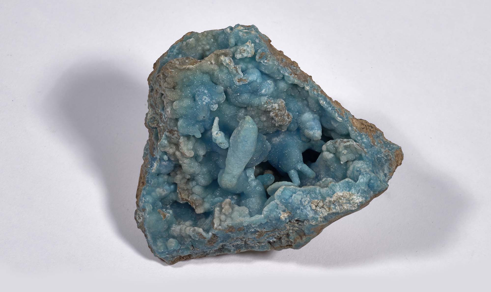 The wondrous objects collected by William Hunter of the Hunterian ...