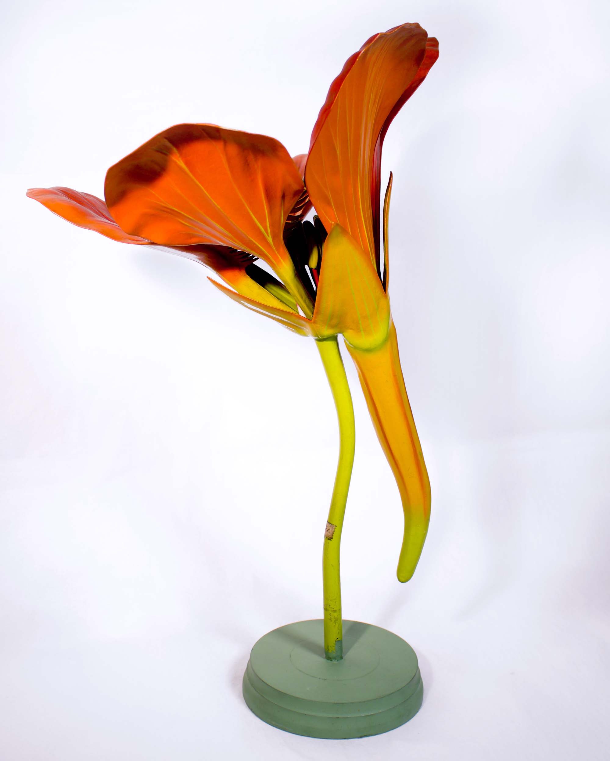 Welcome to the weird and wonderful world of the Brendel plant model ...