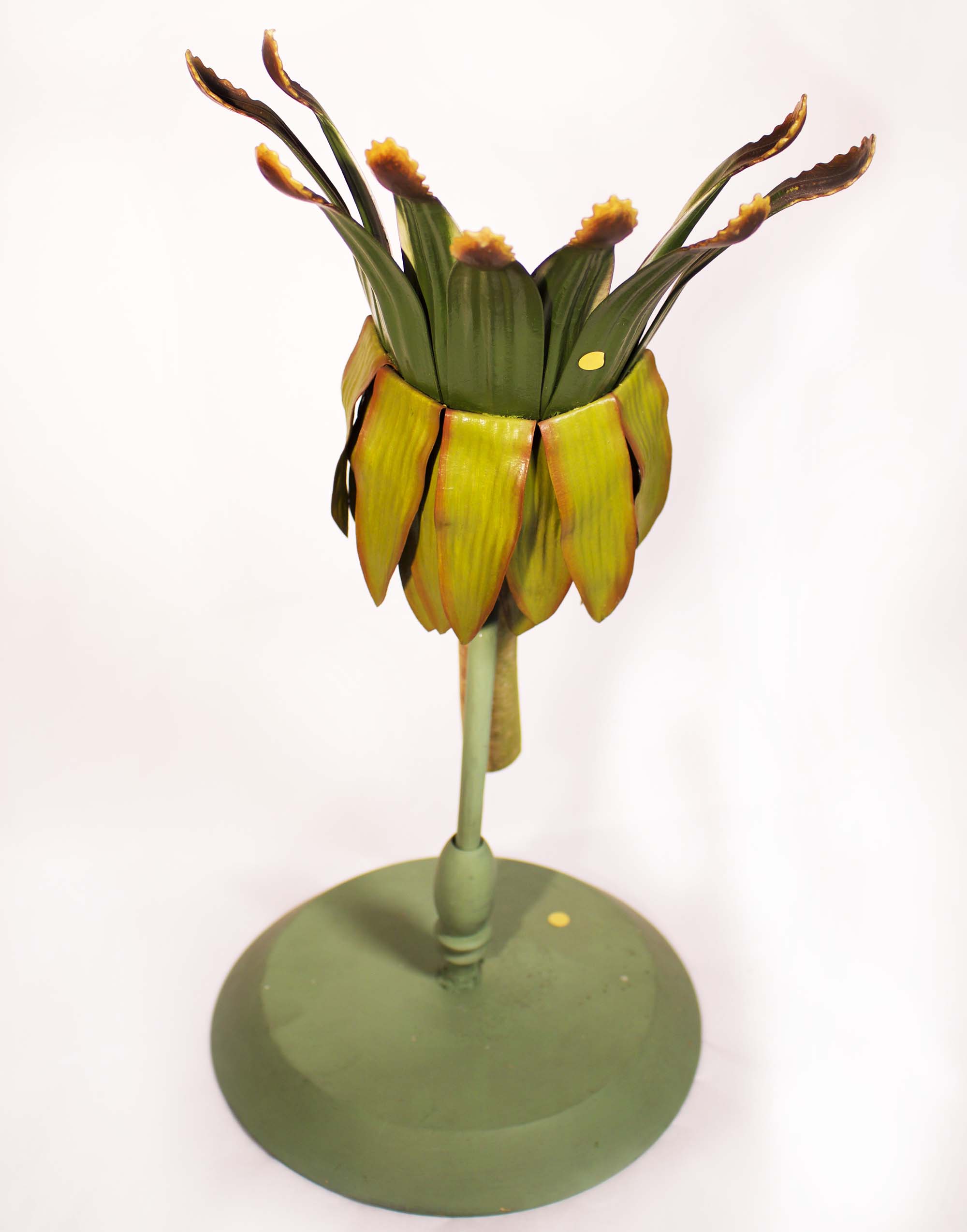 Welcome to the weird and wonderful world of the Brendel plant model ...