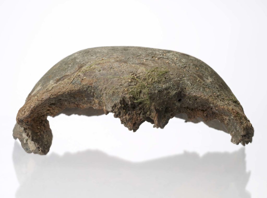 This London skull fragment is the oldest ever found in the Thames ...
