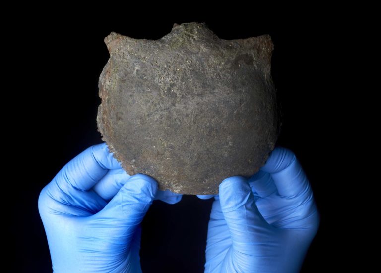 This London skull fragment is the oldest ever found in the Thames ...