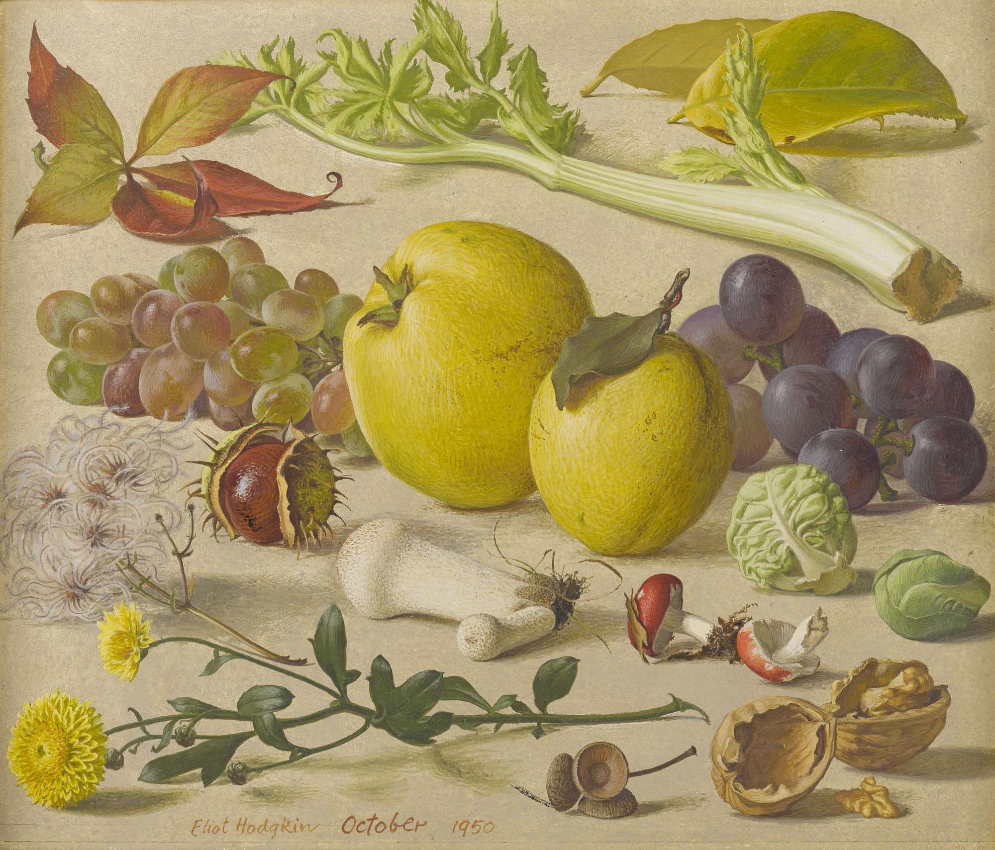 The search for the lost paintings of master of still life Eliot Hodgkin ...