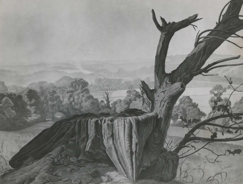 The search for the lost paintings of master of still life Eliot Hodgkin ...