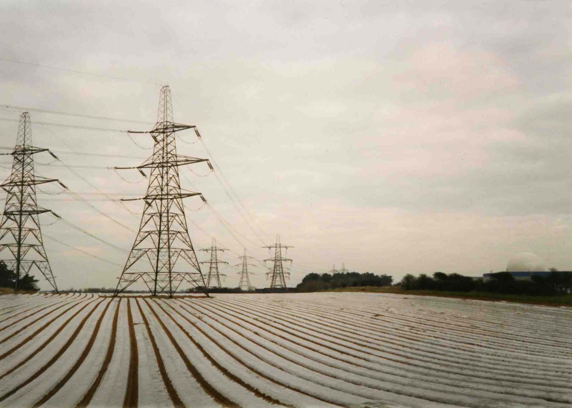Lines of Sight: On the trail of WG Sebald at Norwich Castle – Museum Crush