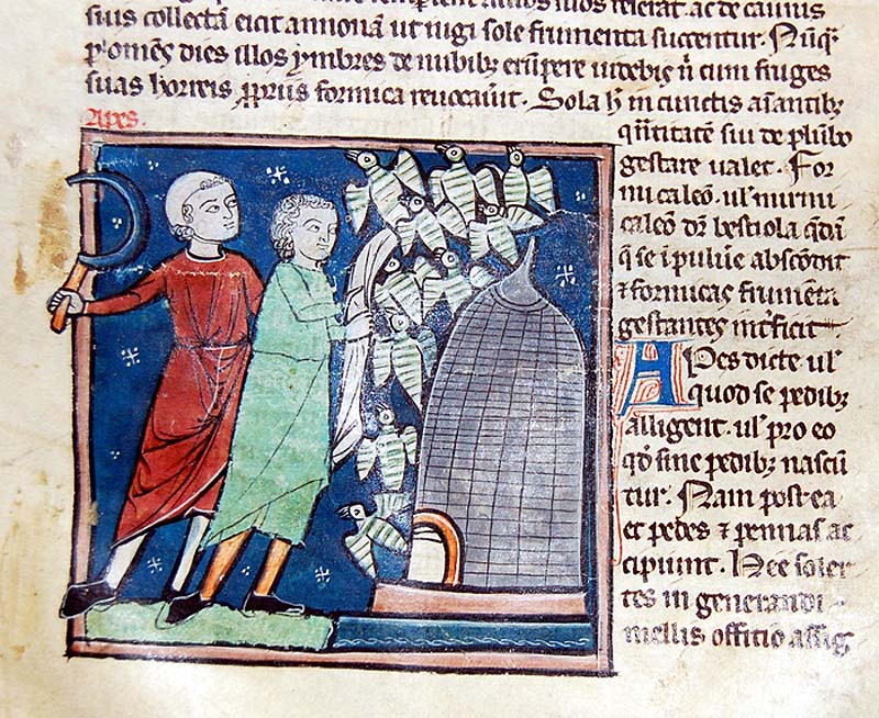 The medieval beasts of Westminster Abbey – Museum Crush