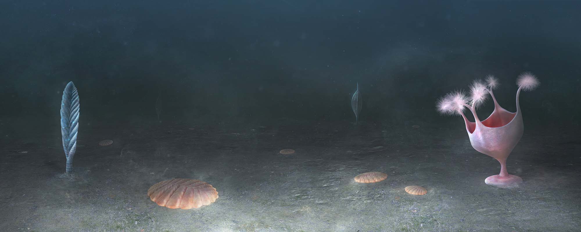 600-million-year-old fossils that reveal the world’s first animals ...