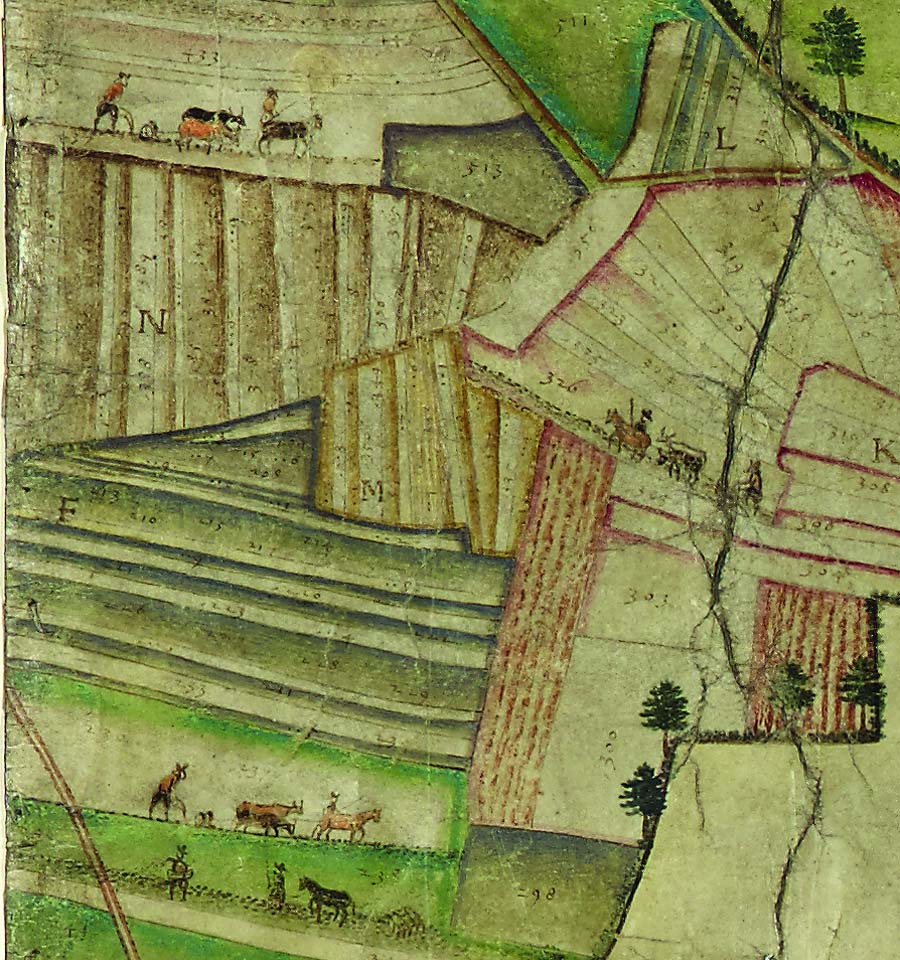 The curious, centuries-old art of maps and the stories they tell ...