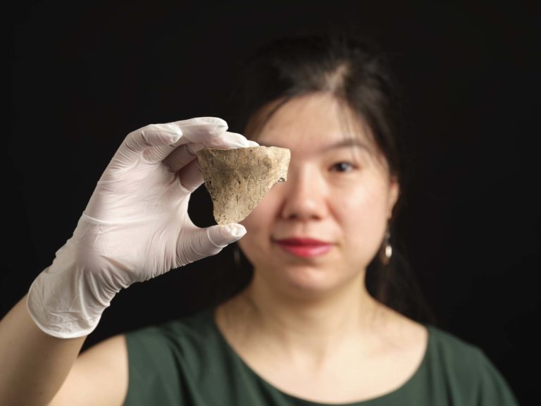 Consulting the Ancient Chinese Oracle Bones of the Shang Dynasty ...