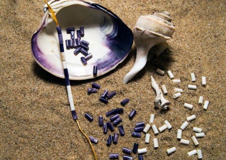 The Native American wampum belt telling another story of the Mayflower ...