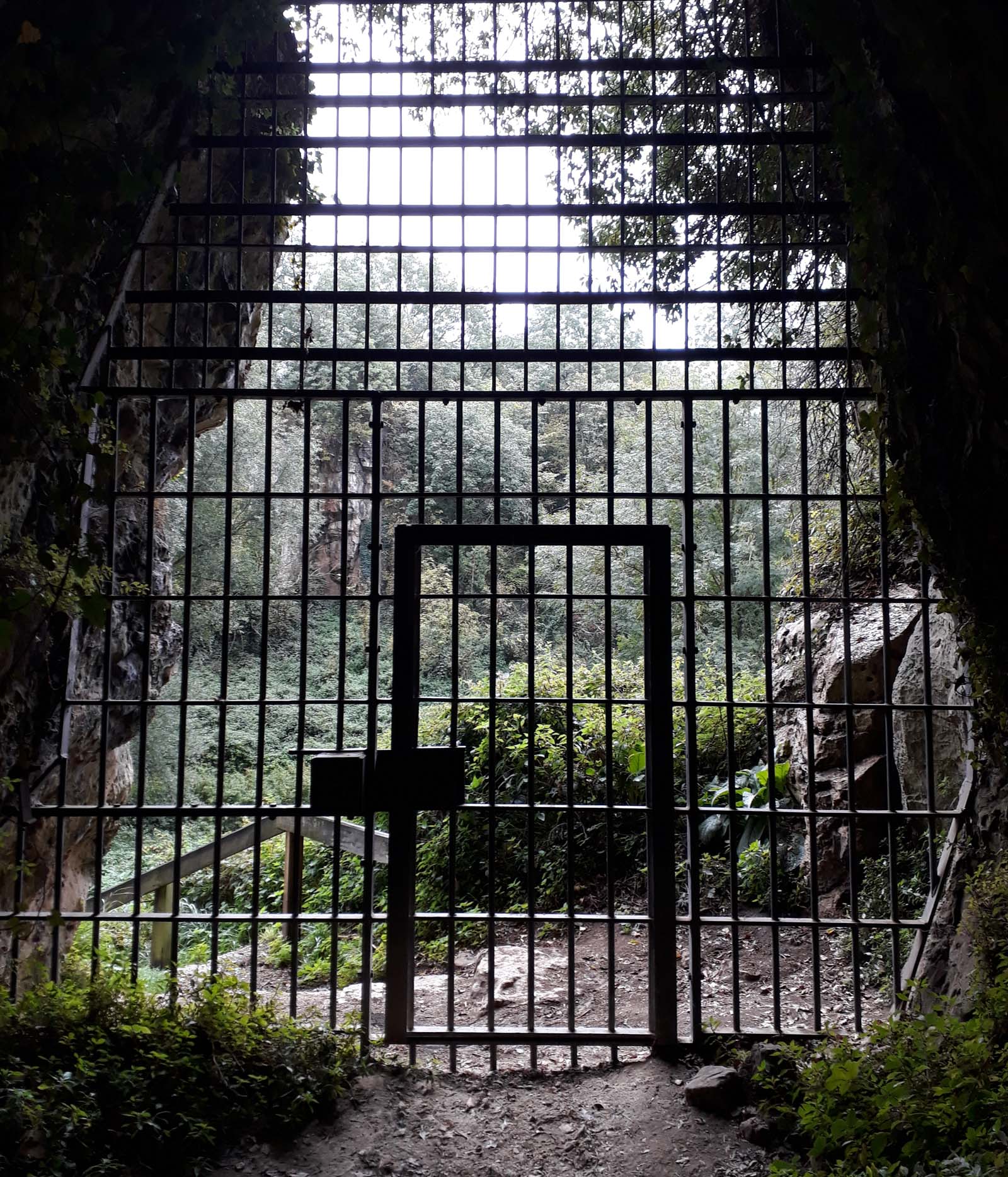 Unlocking the lives of Ice Age small mammals at Creswell Crags – Museum ...