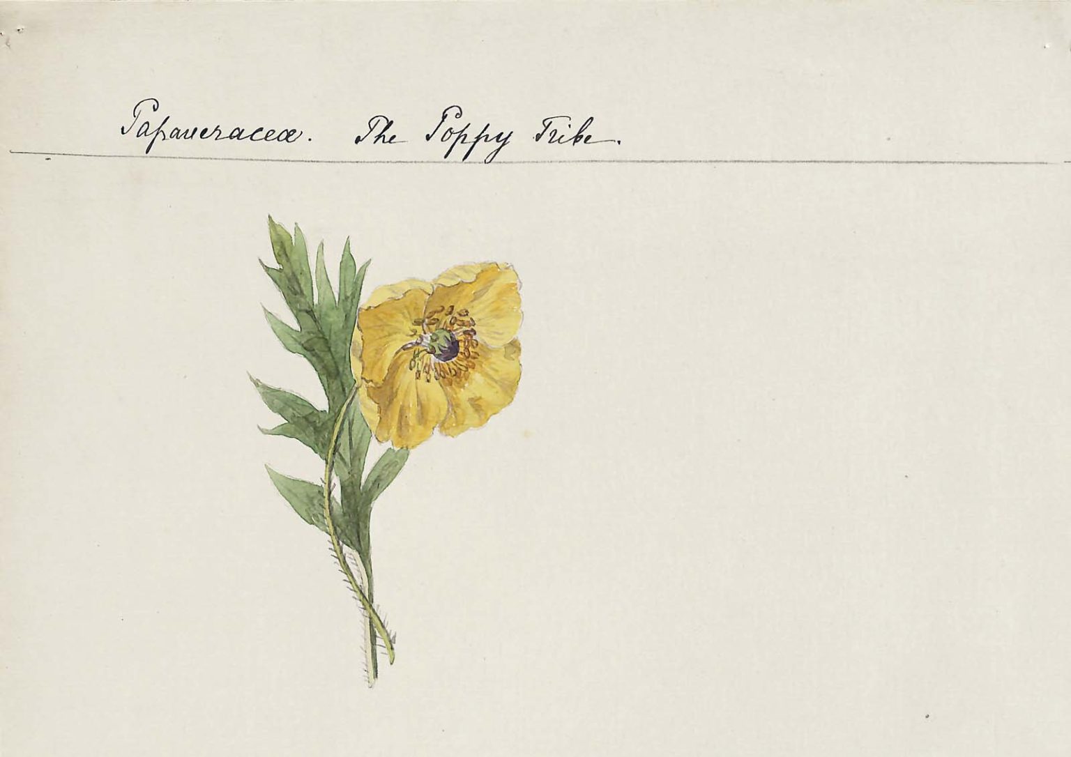 The watercolours that ‘made’ Henry Fox Talbot invent photography ...