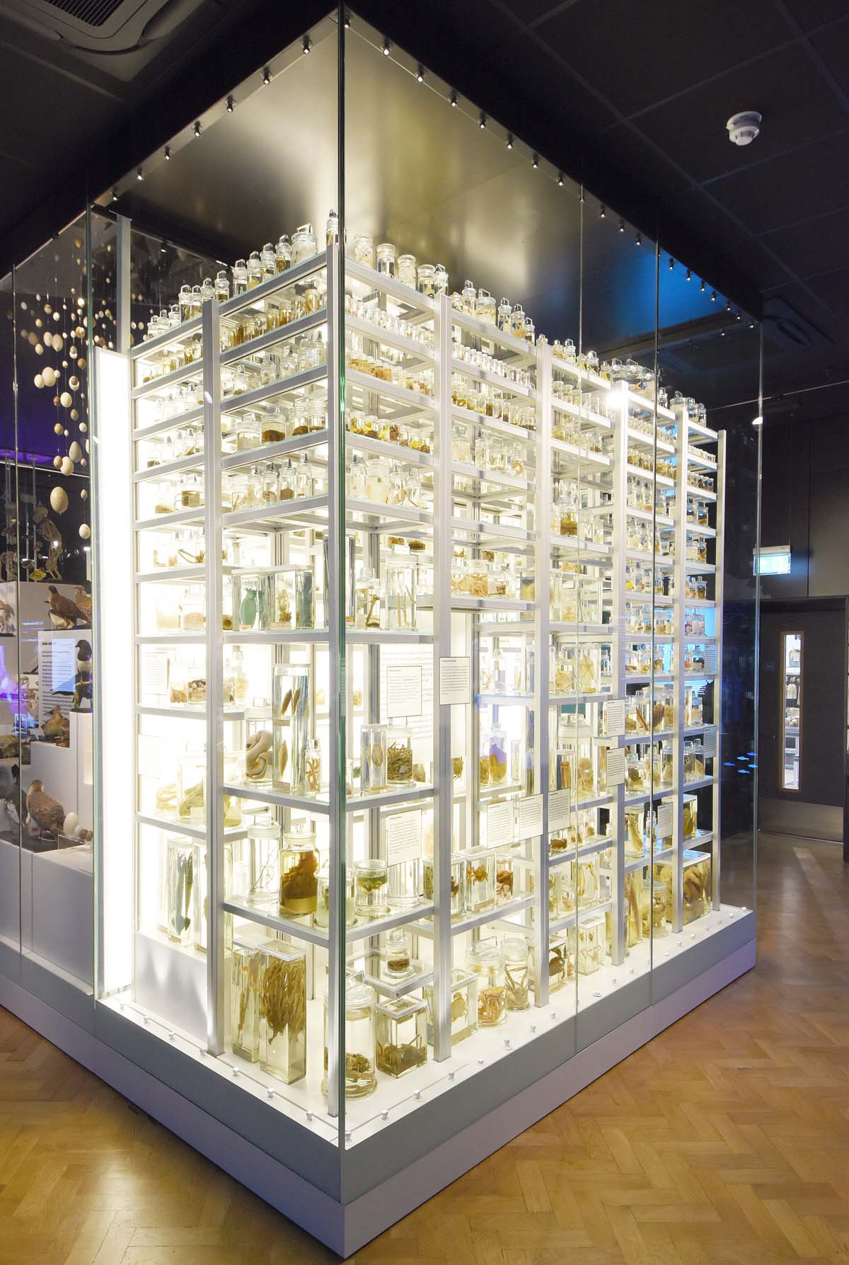 Open The Box again: Plymouth’s new museum and art gallery shines ...