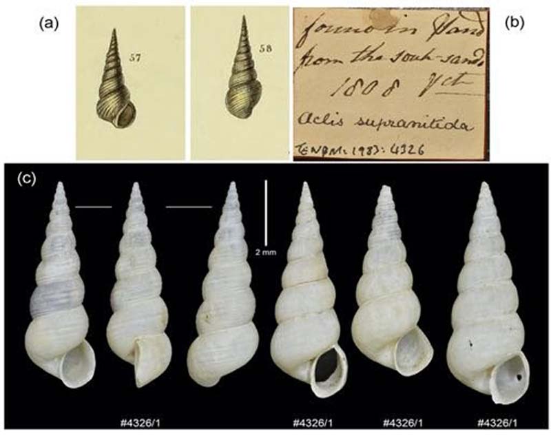 Exploring the history and treasures of Tenby Museum and Art Gallery ...