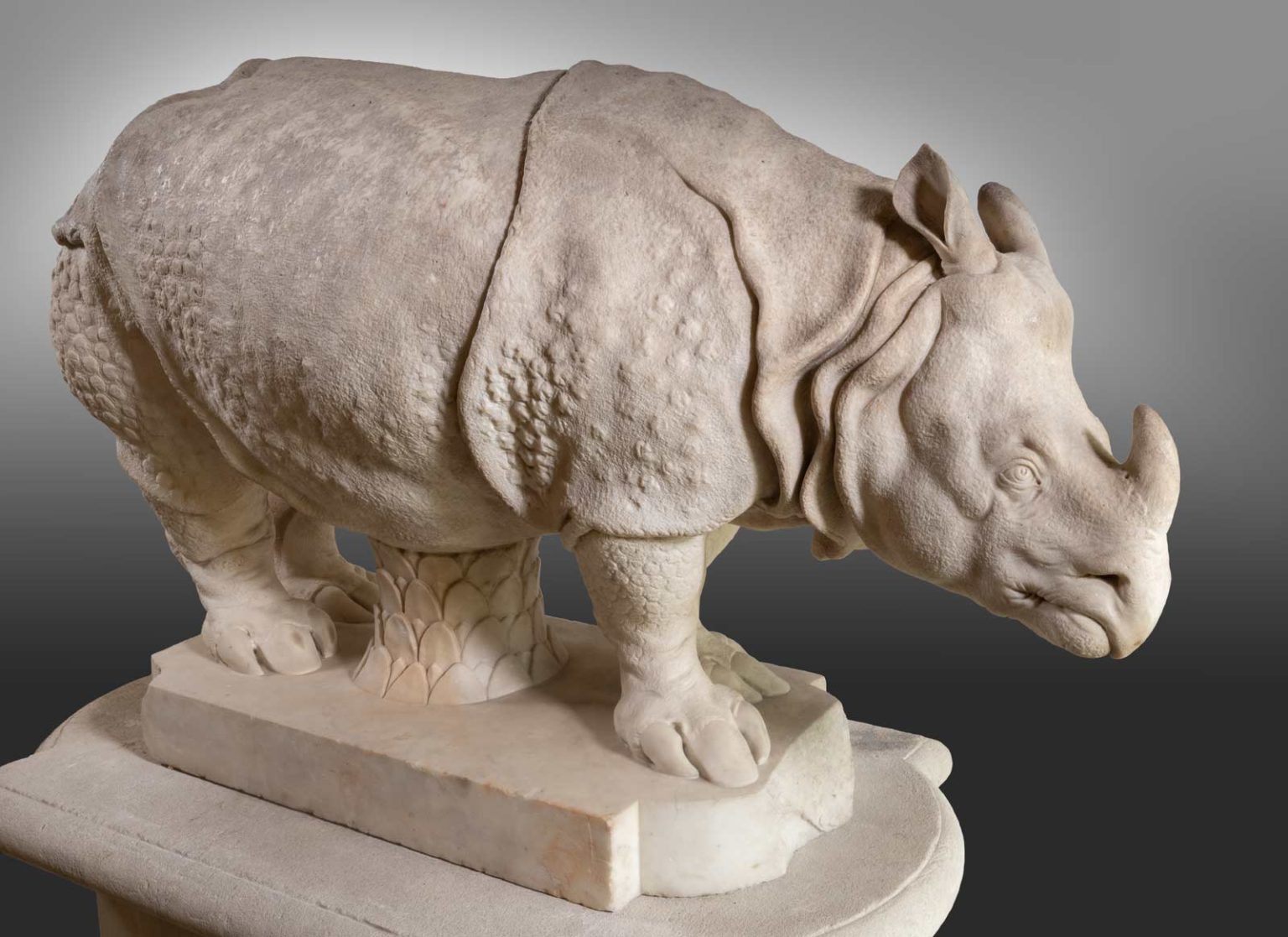 Miss Clara the Rhino and the history and captivity of exotic animals ...