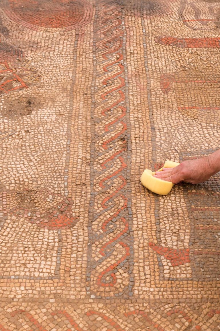 Revealed: the extraordinary Roman mosaic discovered on a family ramble ...