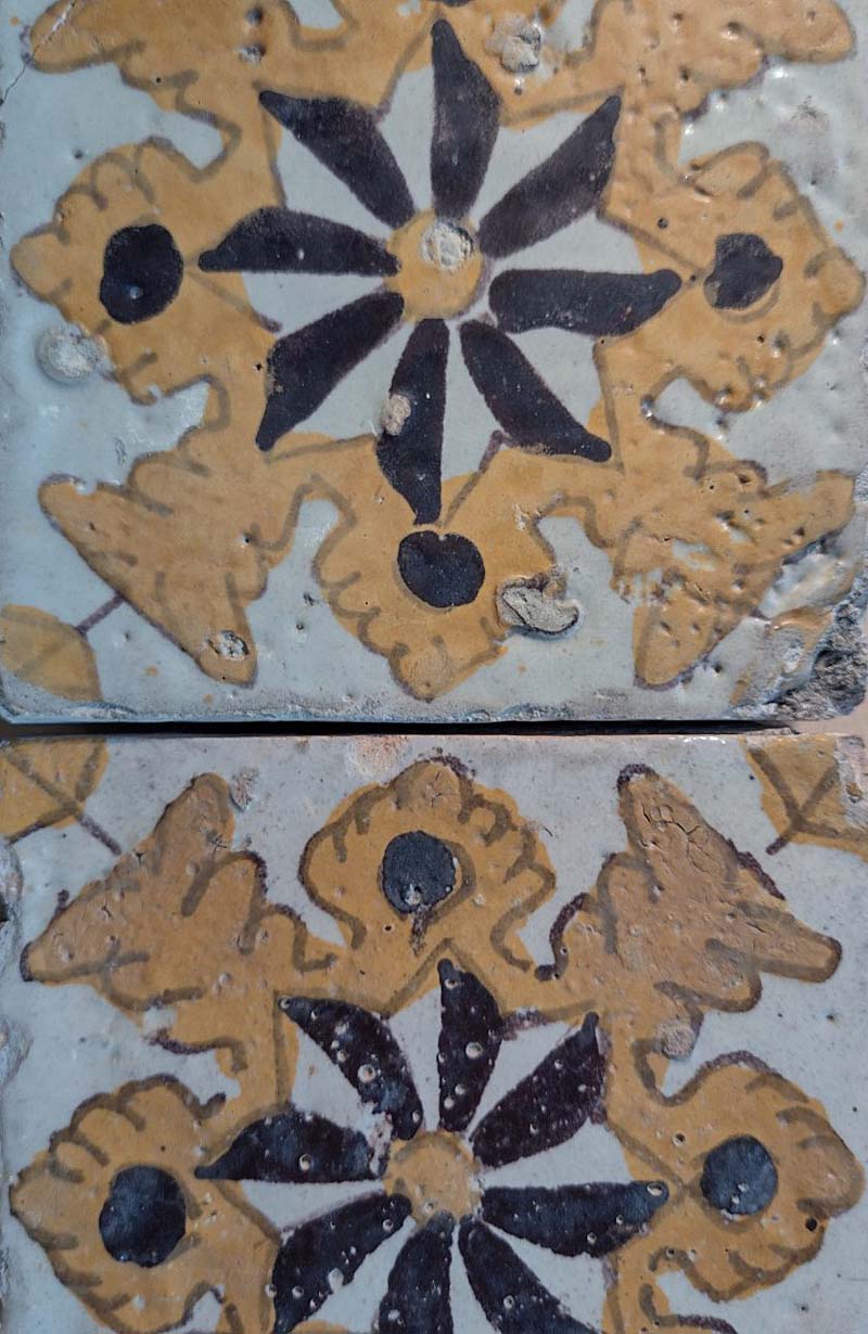 The story of LGBTQ pioneer Princess Catherine Duleep Singh – Museum Crush