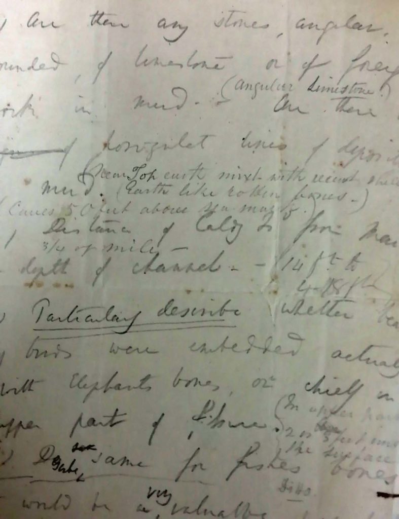 Tenby, Charles Darwin and the remarkable finds of Caldey Cave – Museum ...