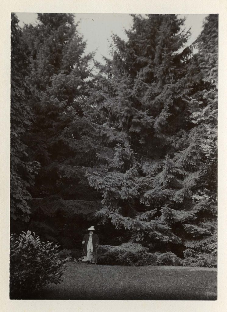 Gardener and collector: The story of Alice de Rothschild and Waddesdon ...