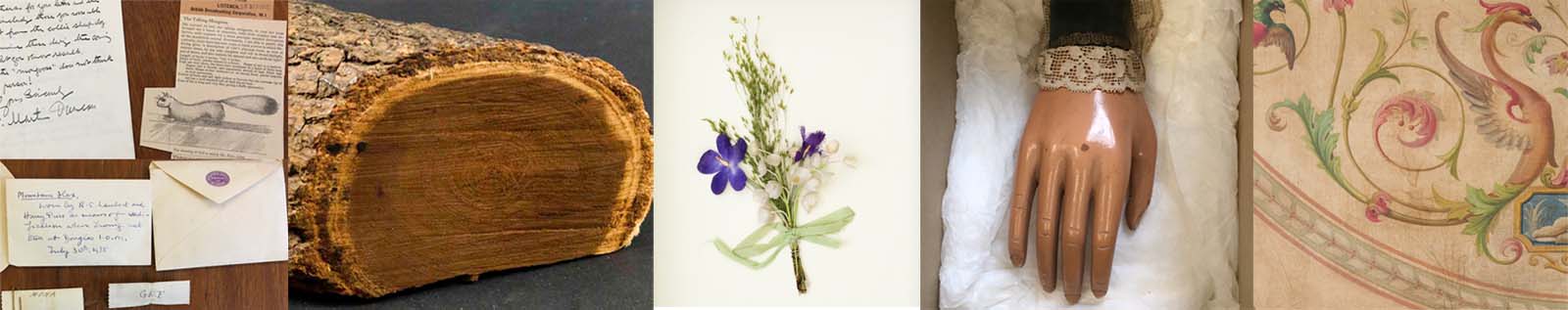 World Book Day: Five things you wouldn’t expect to find in a library ...